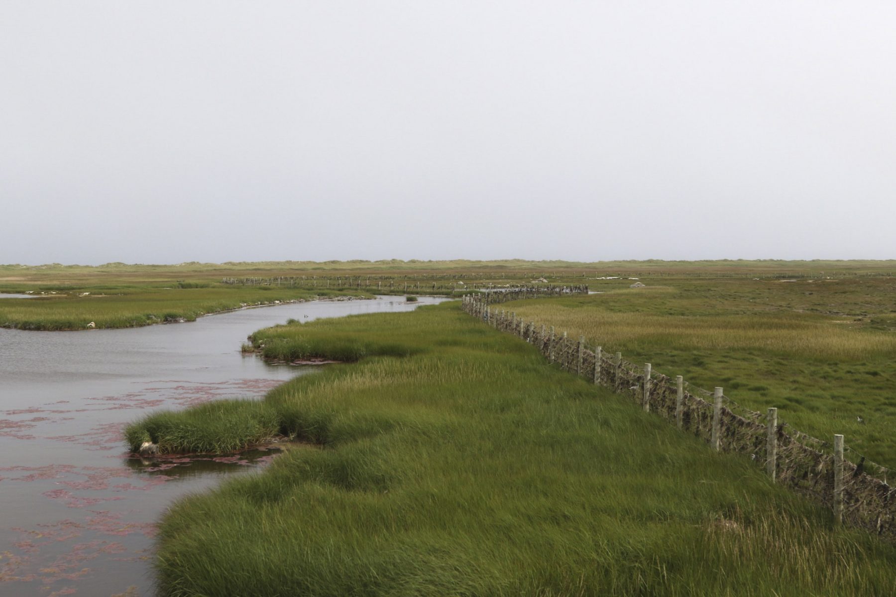 Making room for wetlands: Implementation of managed dyke realignment ...
