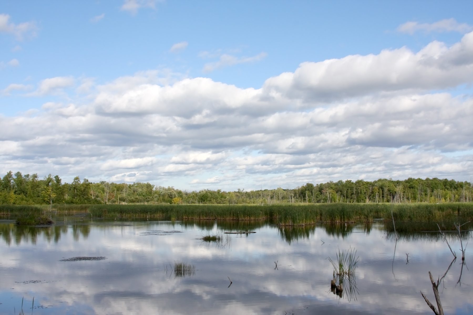 The Norfolk Sand Plain Natural Area — Canada in a Changing Climate