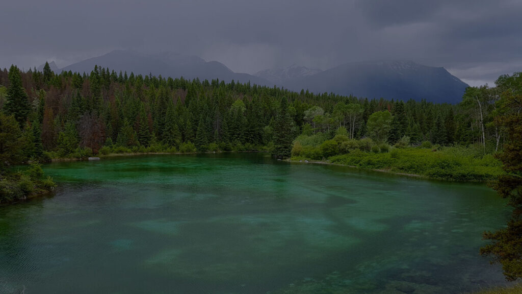 Section 1.0 — For Our Future: Indigenous Resilience Report